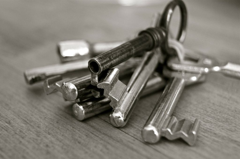 Instrument that is used to open locks | Puzzles QnA