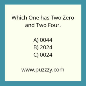 Two Zero and Two Four Puzzle | Puzzles QnA